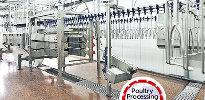 Poultry Processing Equipment, systems and factory development